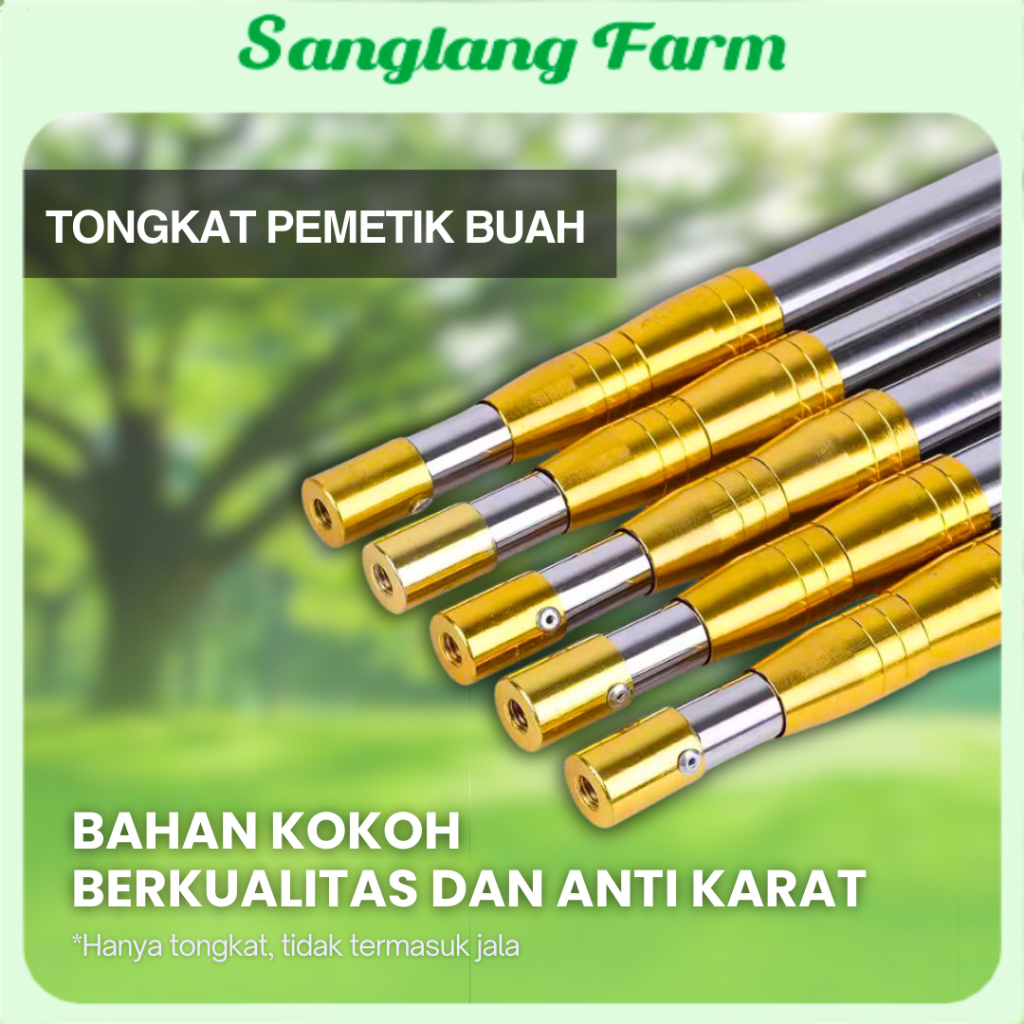 Fruit Picker/Tool for Picking Fruit from Trees (Only Stick) | Shopee ...