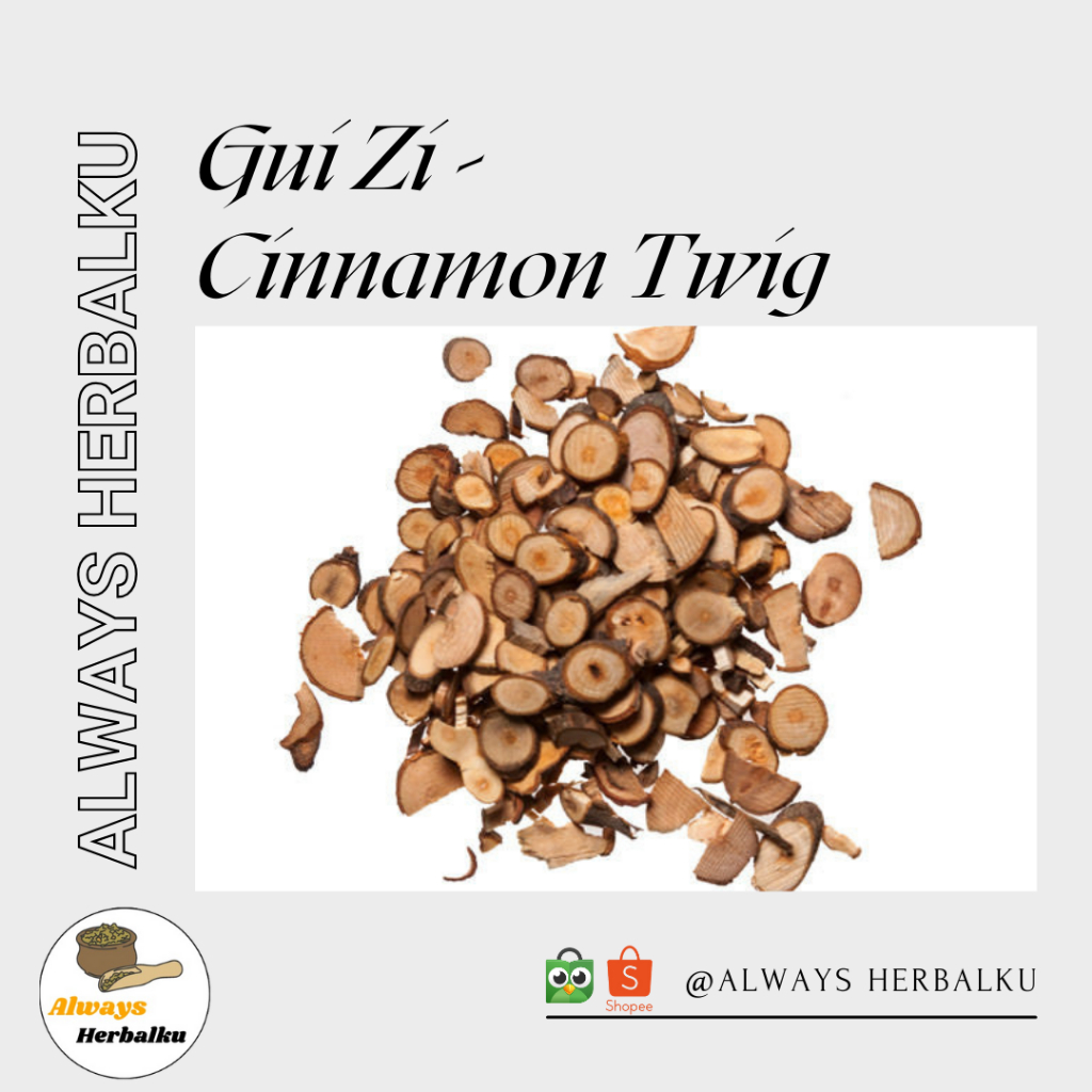 Gui zi / gui zhi / cinnamon twig (100 grams) | Shopee Malaysia