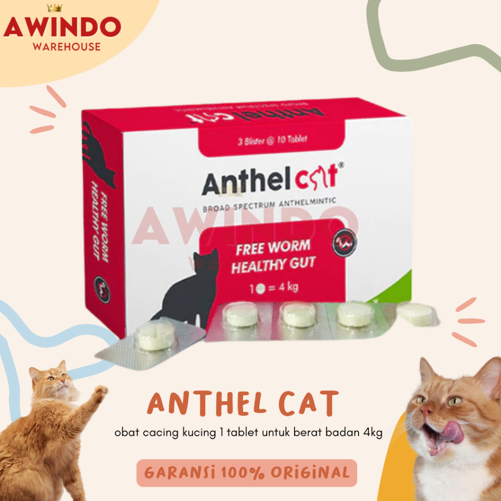 ANTHEL CAT 1 TABLET - CAT Deworming Medicine Kalbe Animal Health 100% ...