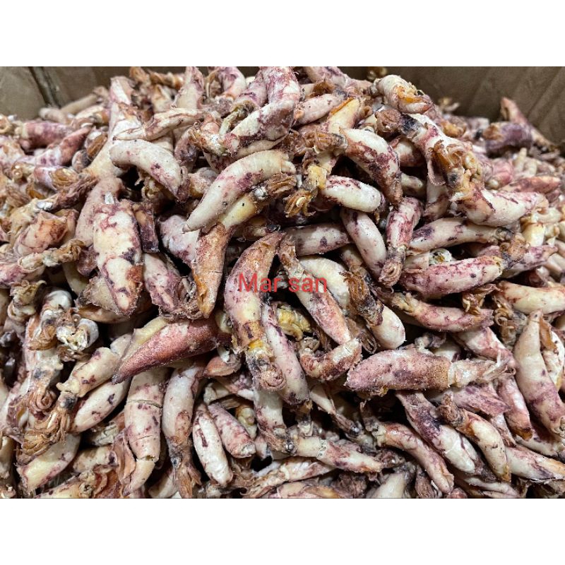 Salted Fish Cuttlefish Dried Egg Needles 250grams and 500grams | Shopee ...