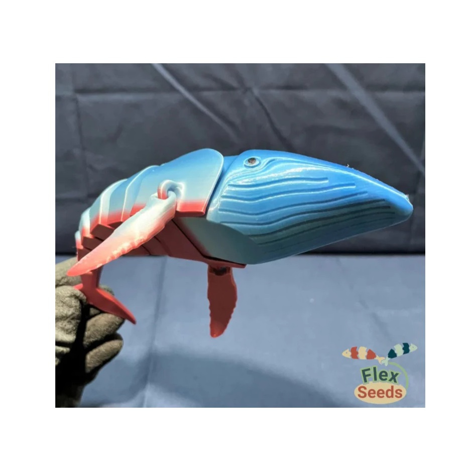 Children's Educational Whale Toy Flexi Humpback Whale Blue Whale ...