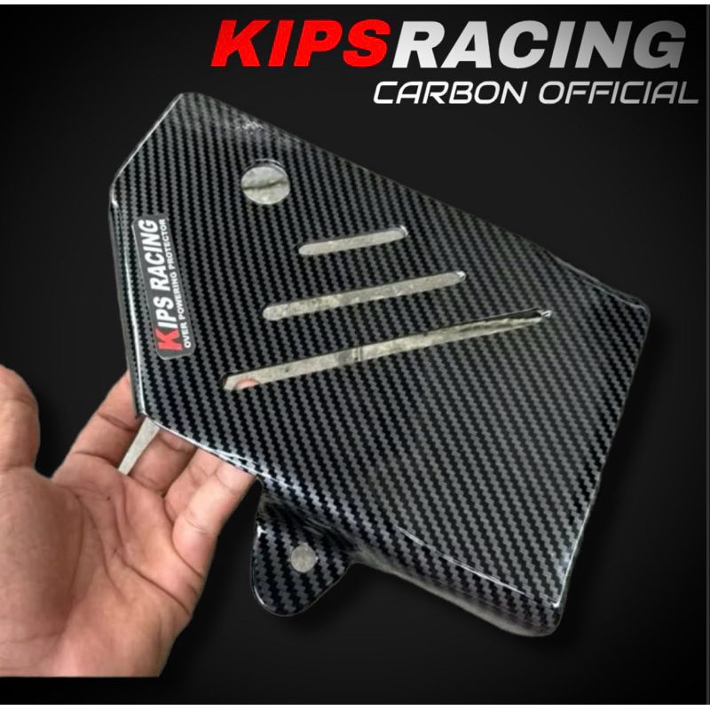 COVER RADIATOR PCX 160 STYLO ADV CARBON KIPS RC ️radiator stylo carbon ...
