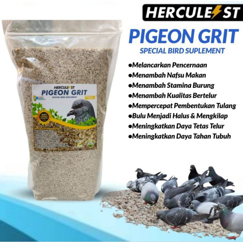 Pigeon GRIT SALTED FEED SALTED PIGEON GRIT SUITABLE FOR DOVES, POULTRY ...