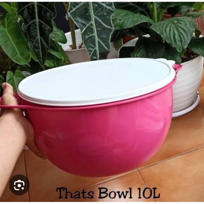 Legacy bowl 10L That's A bowl 10L that'bowl 14L large bowl tupperware ...