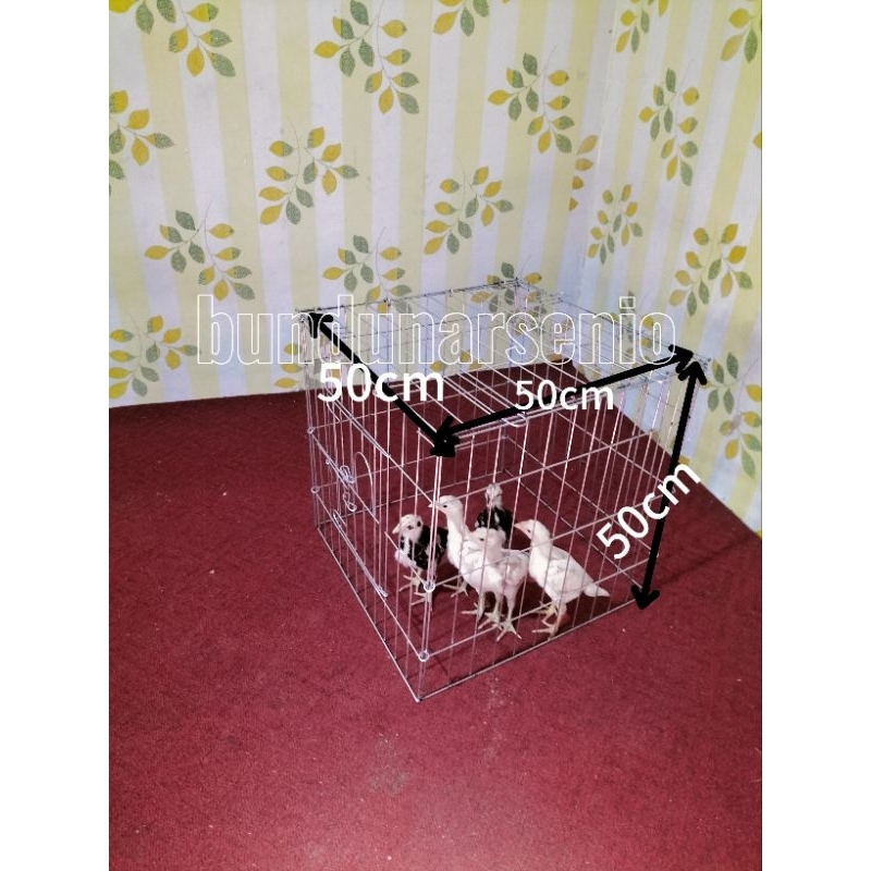 Kate chicken coop (folding) | Shopee Malaysia
