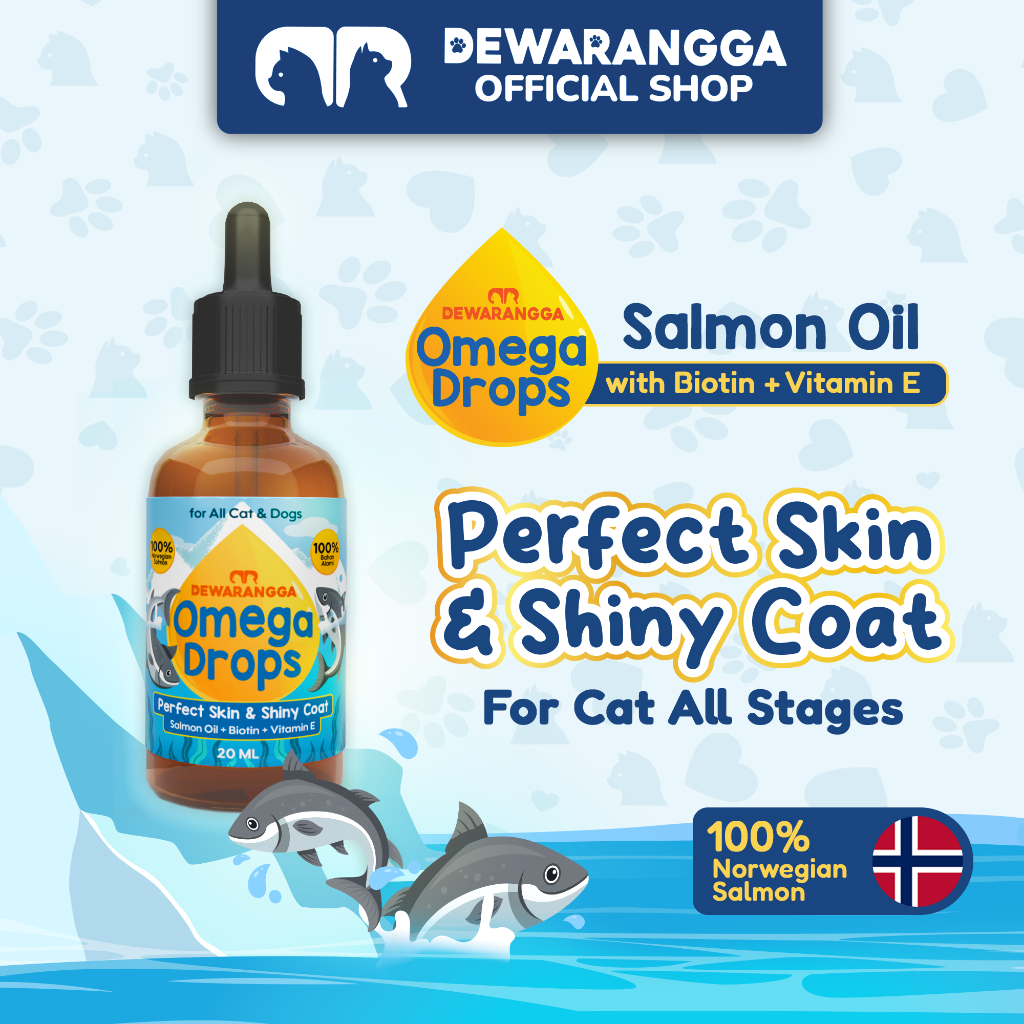 Dewarangga Omega Drops Cat Salmon Oil, Cat Fish Oil to Maintain Cat Dog ...