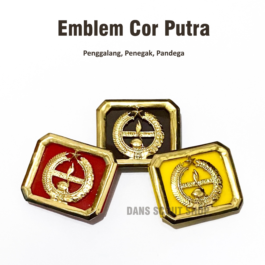 Cast Boy Scout Emblem Scout Emblem Sign/Pin Scout Hat Raising Pandega ...