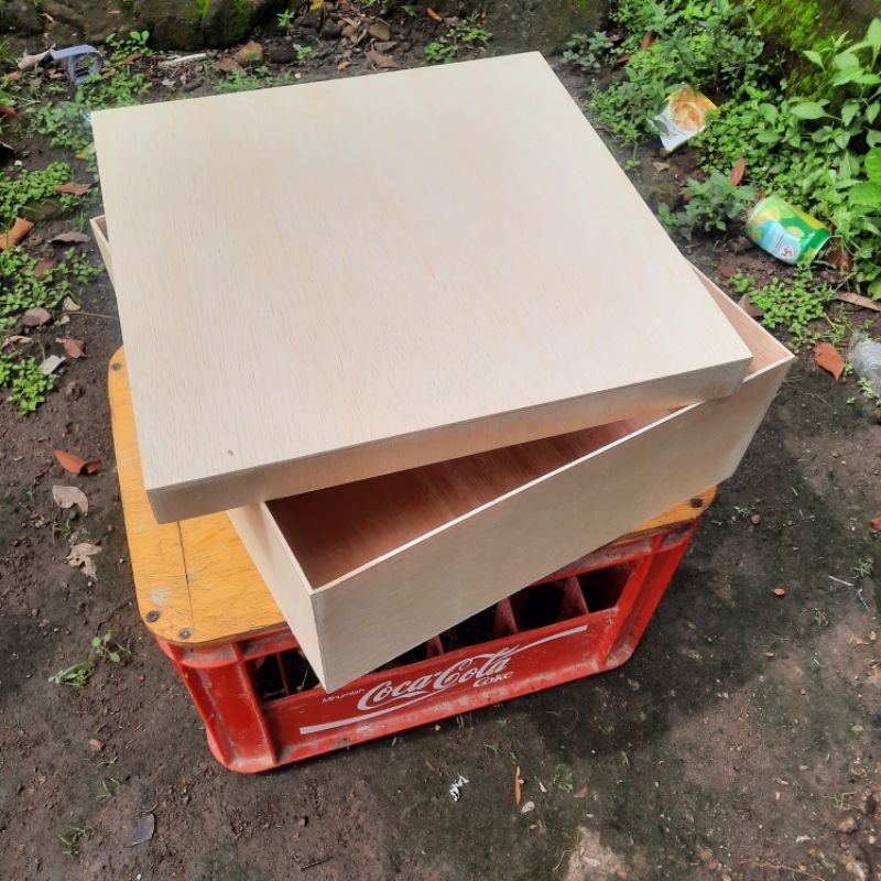 Super jumbo container Box measuring 35×35×13 cm | Shopee Malaysia