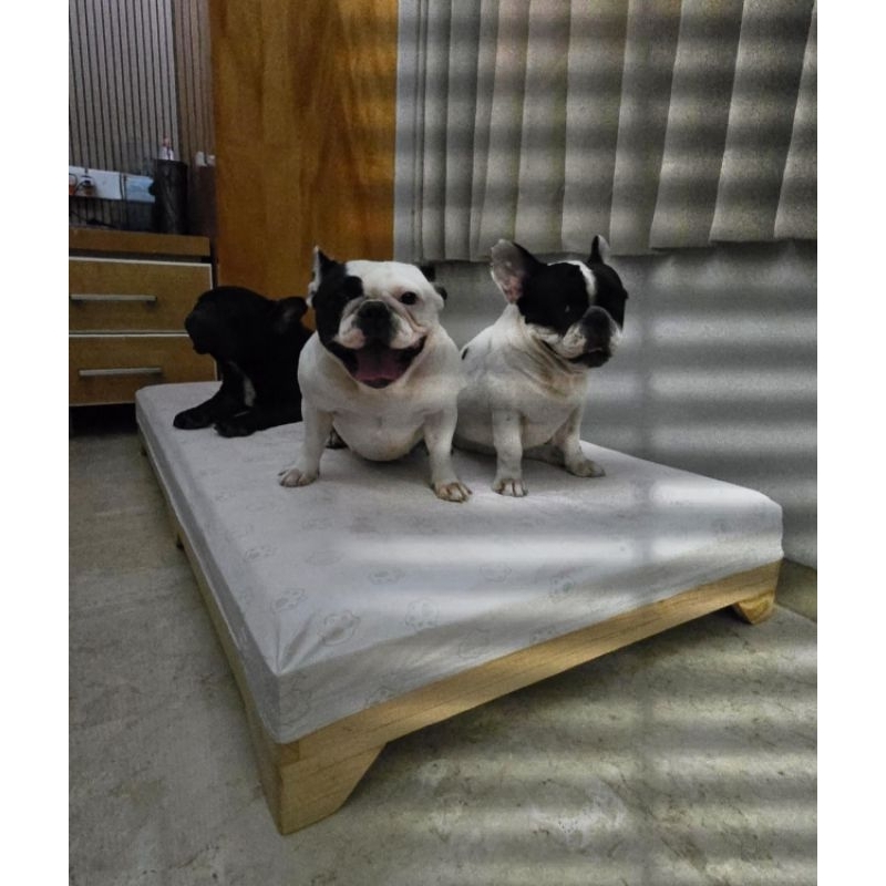 Dog bed cat bed dog cot animal cot | Shopee Malaysia