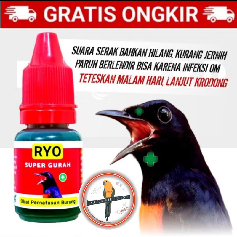 Ryo SUPER Gurah BIRD Gurah MEDICINE TREATS INTELLIGENT RESPIRATORY ...