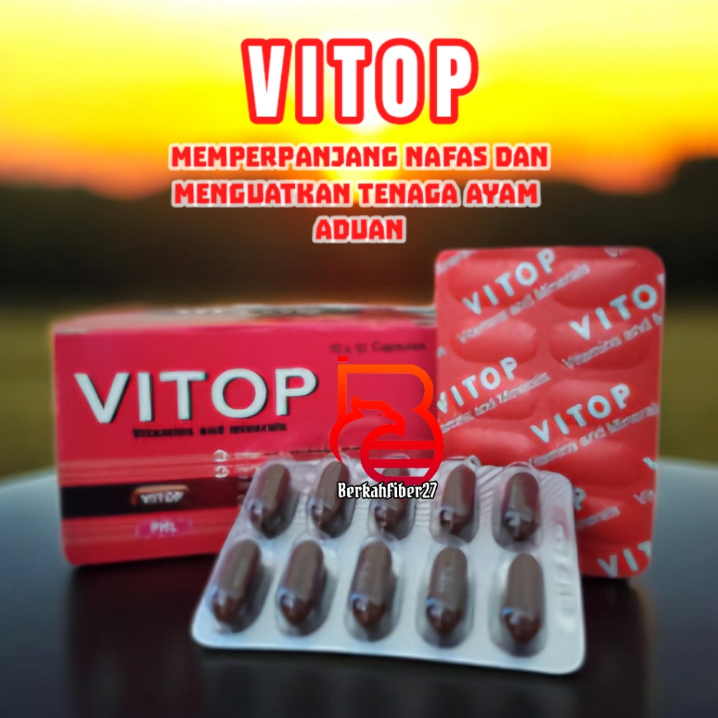 Vitop VITAMIN ROCK CHICKEN 100% ORI THAILAND 1 STRIP (10 caplets ...