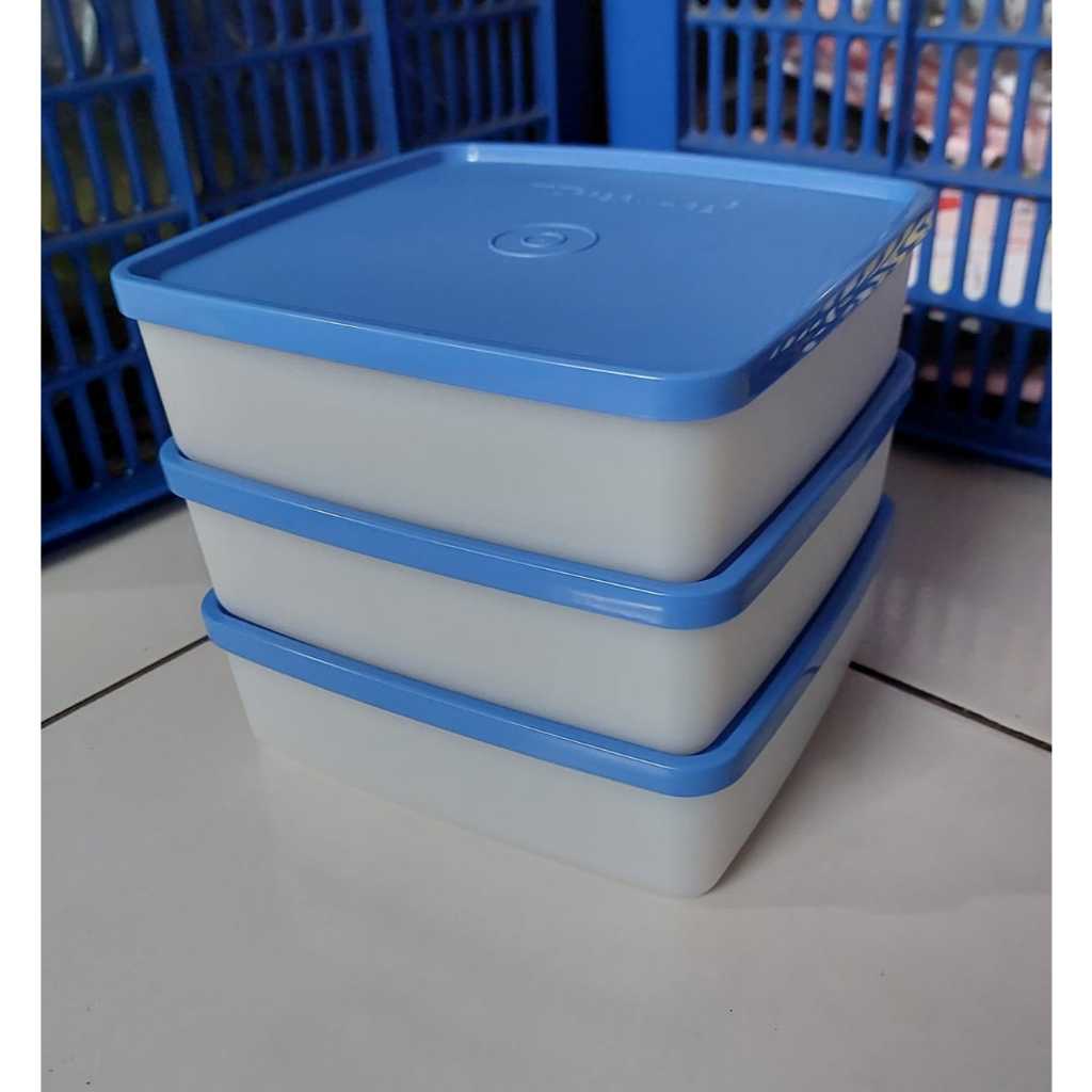 Tupperware Large Square Away (price per pis) | Shopee Malaysia
