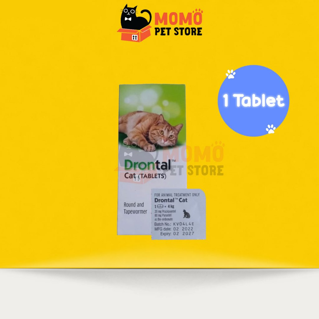 Drontal Cat Deworming Medicine for Cats Tapeworm Roundworm Per 1 Tablet ...
