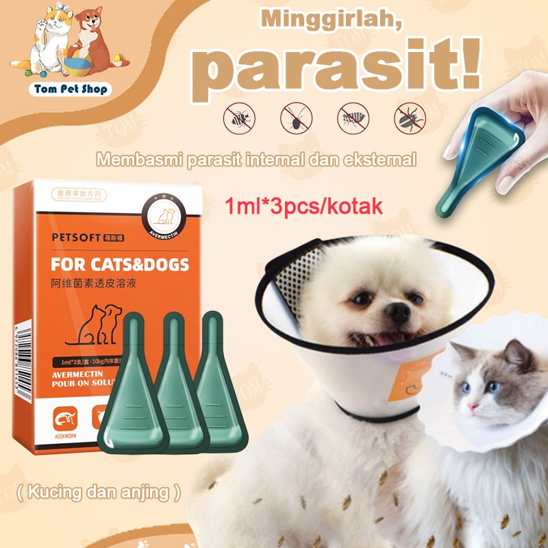 Pet worm medicine 3ml for dogs and cats External worm medicine to ...