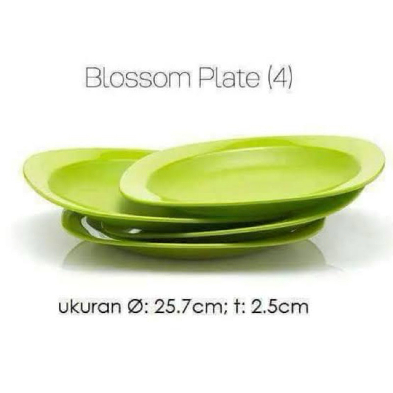 Tupperware plate | Shopee Malaysia