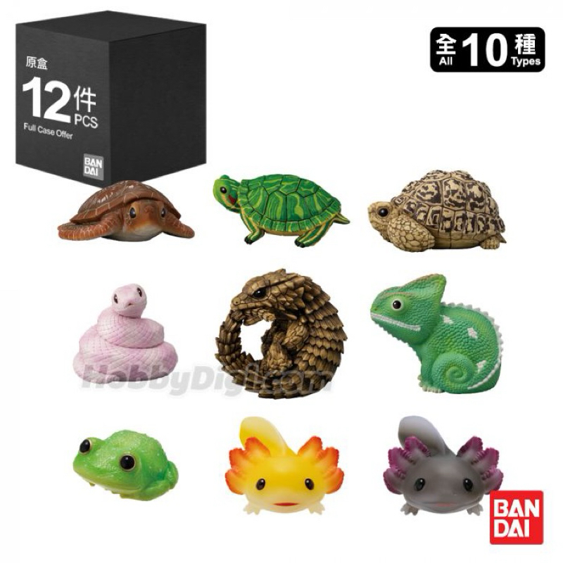 BANDAI Miniature individual reptile hobby | Shopee Malaysia