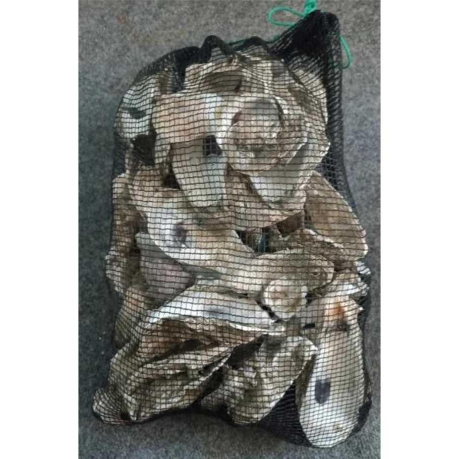 Oyster / Shells Koi Pond Filter Media (3kg) | Shopee Malaysia