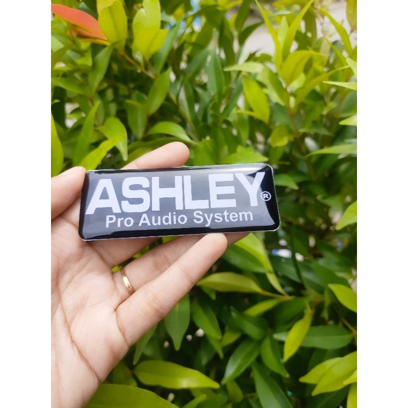 Ashley PRO AUDIO SYSTEM LOGO | Ashley PRO AUDIO SYSTEM LABEL | Ashley ...
