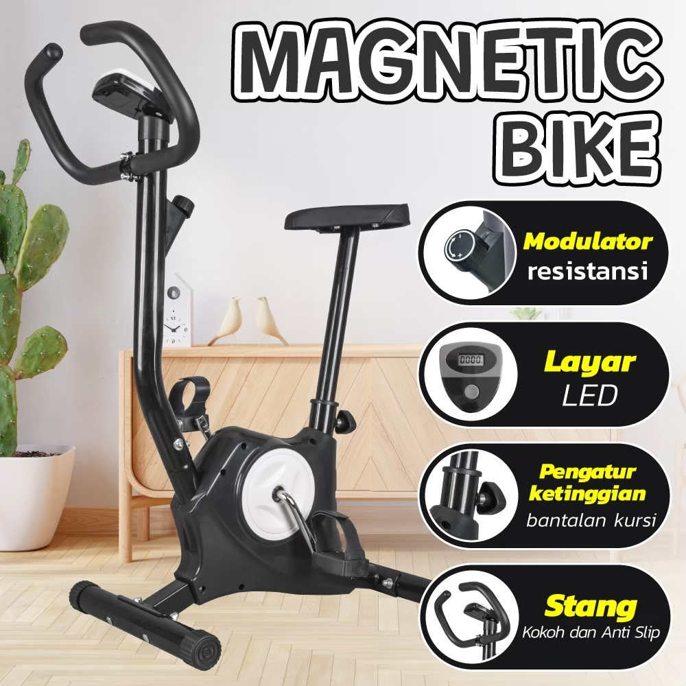LAYAR Htd Sport Static Sports Bike Spinning Bike Excercise LED Screen ...