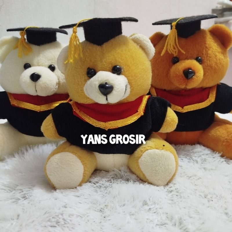 Tedybear GRADUATION DOLL 16 cm HIGH (graduation doll set of clothes and ...