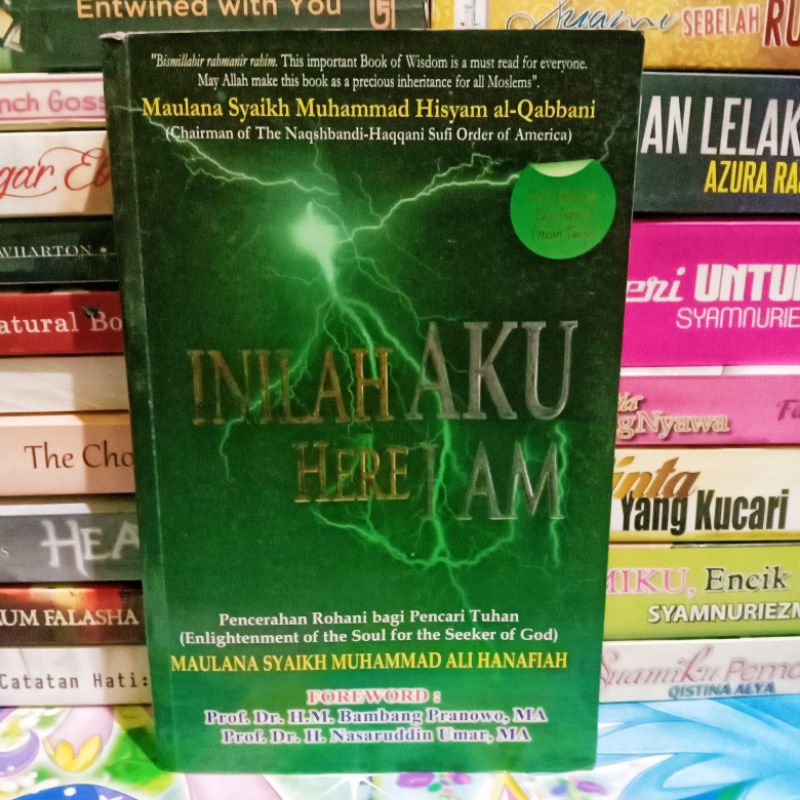 Book THIS IS ME HERE I AM: ENLIGHTENMENT OF THE SPIRITUAL CARE OF GOD ...