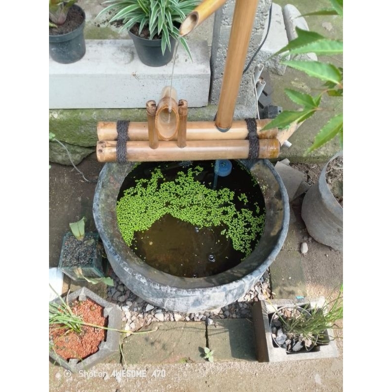 Shower/bamboo fountain plus flexible stand or tipping bamboo coaster ...