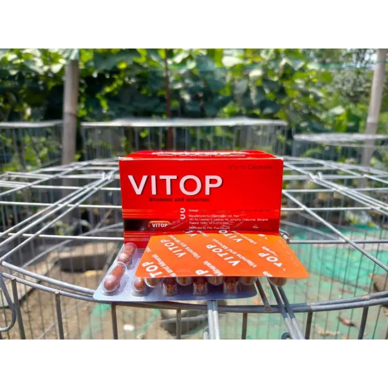 Vitop Chicken Medicine Vitamins Fighting Cocks Boosting Retail 1 ...