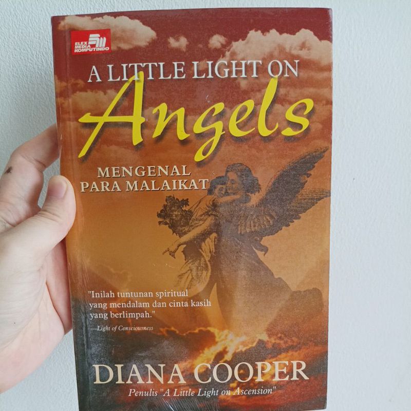 Book: A little light on Angels (Getting to Know Angels) | Shopee Malaysia