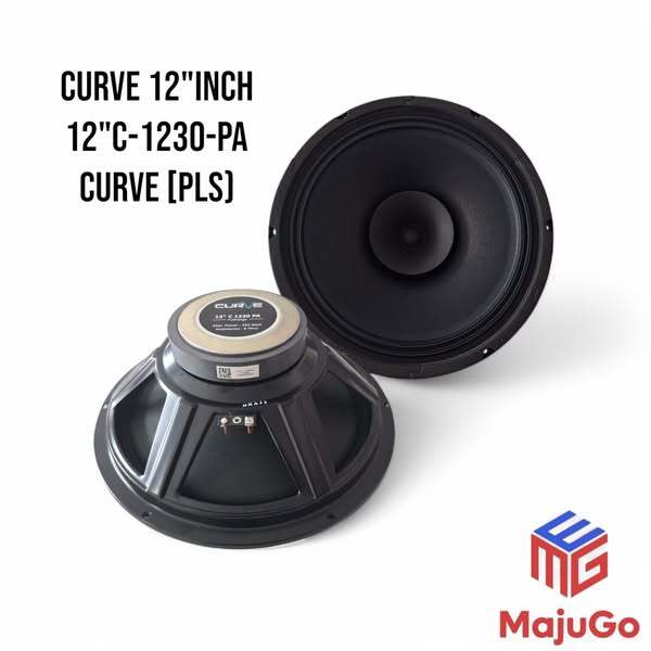 Speaker CURVE 12 INCH C-1230-PA CURVE (PLS) | Shopee Malaysia