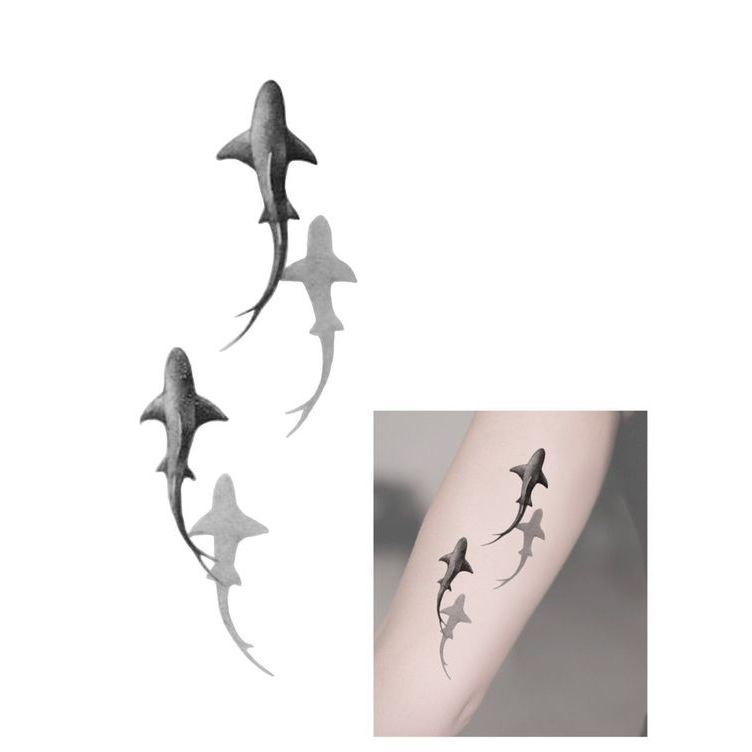 Tatempo temporary tattoos - HIU/SHARK/TATTOO SHADOW | Shopee Malaysia