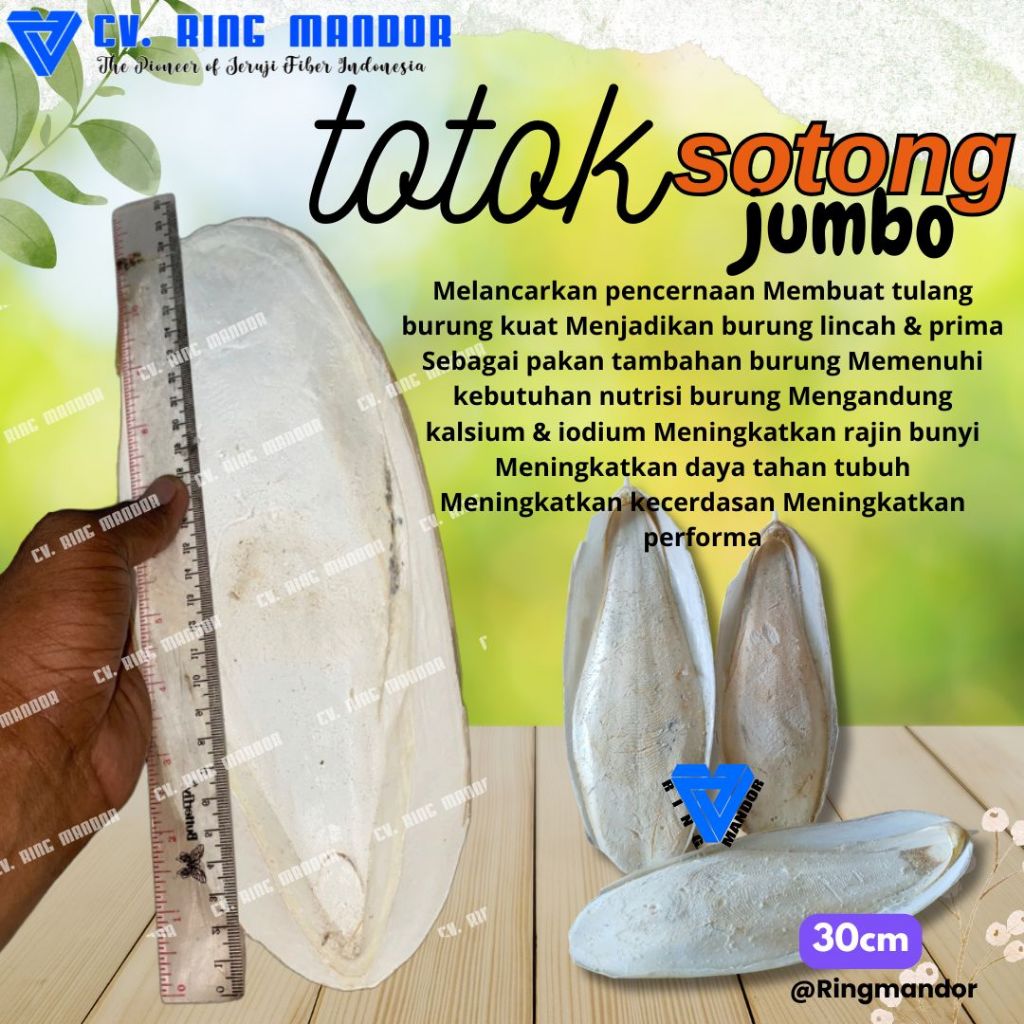 Jumbo SCULPTURE BONES 30CM PER-1PCS | Shopee Malaysia