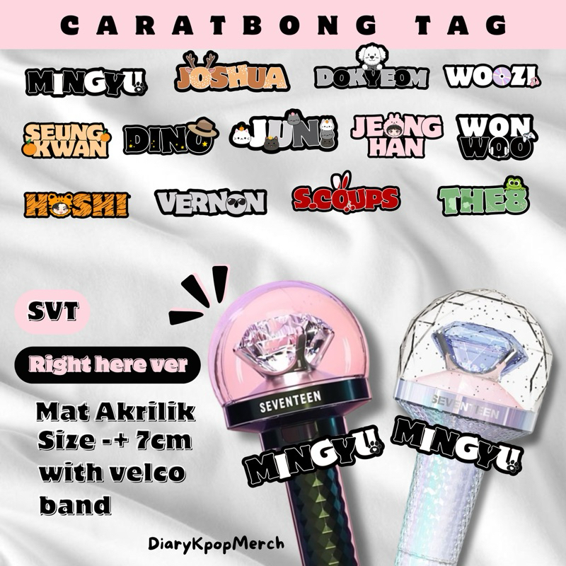 Seventeen Lightstick Nametag / Caratbong Name Tag / Lightstick ...