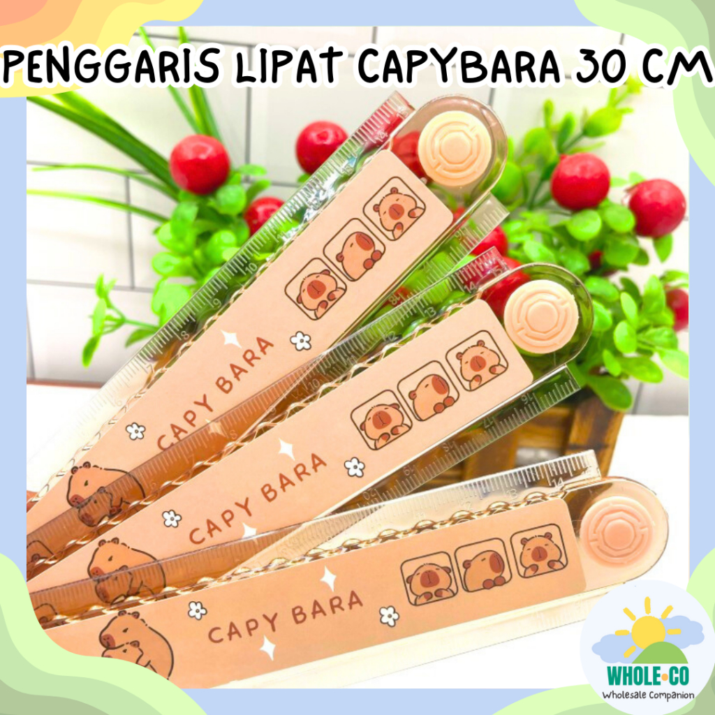 Premium Capybara Folding Ruler 30 cm Length Animal Capybara Chocolate ...