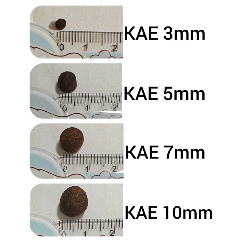 Stp kae 1kg / REPACK / 3mm 5mm 7mm / high protein koi food | Shopee ...