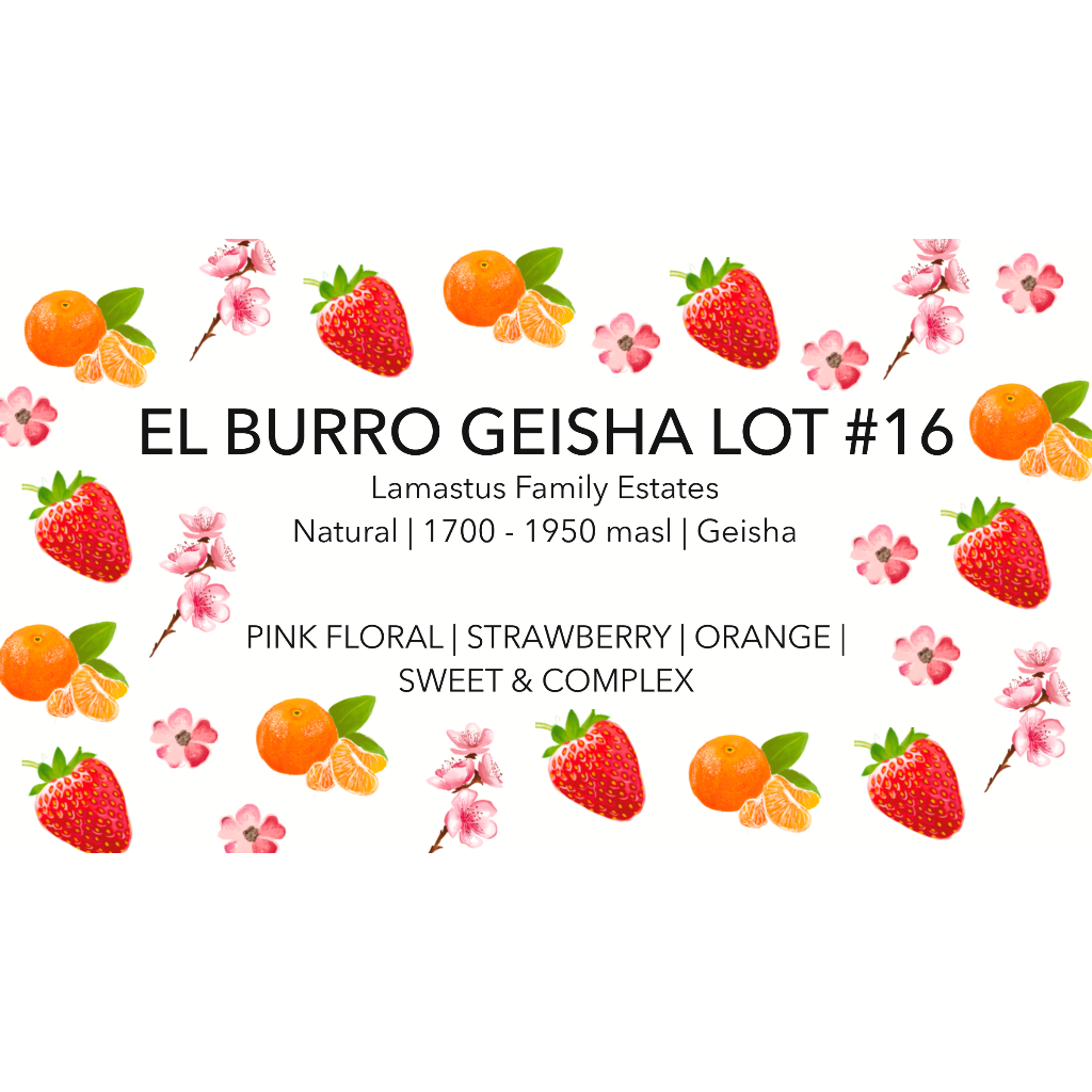 Panama El Burro Lot 16 - Geisha - Natural - Lamastus Family - Hana ...