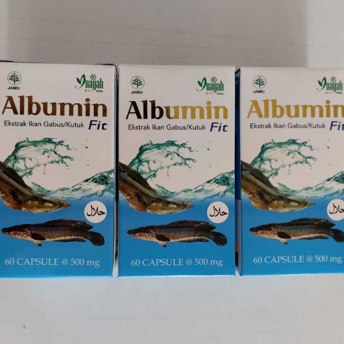 Snakehead Fish Extract ALBUMIN FIT CAPSULES Herbal Capsules Cure ...