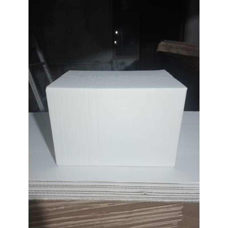 PUTIH Plain white cardboard 20x20x15 cm | Shopee Malaysia