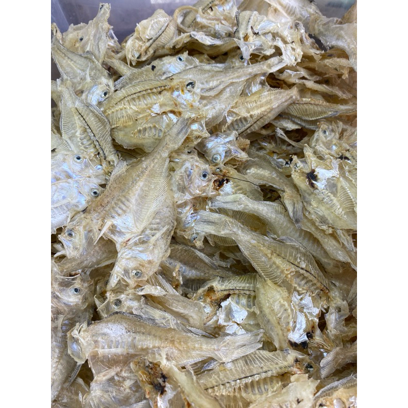 Putri ayu thin dried fish 1kg | Shopee Malaysia