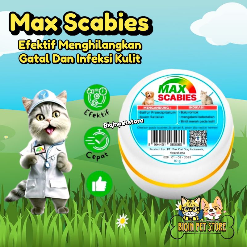 Fungal Scabies Ointment Cat Dog Skin infection ointment Max Scabies ...