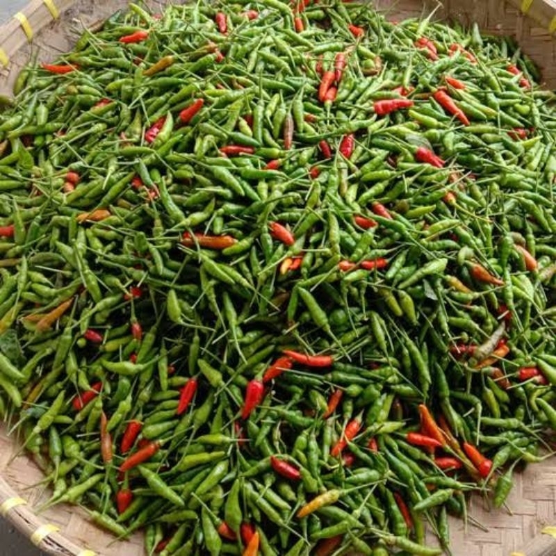 Natural FRESH SMALL CHILLI PRICE PER KG | Shopee Malaysia