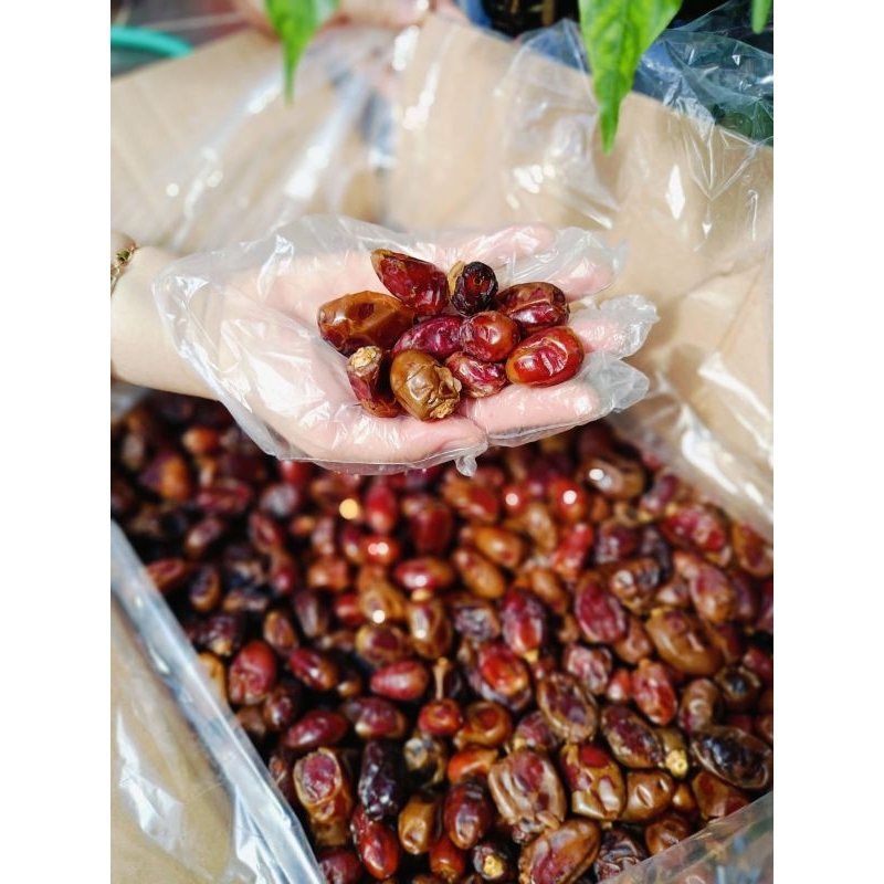 Emirates Gold Sayer Dates 10 Kg Al Saad Soft Balikpapan Kalimantan ...