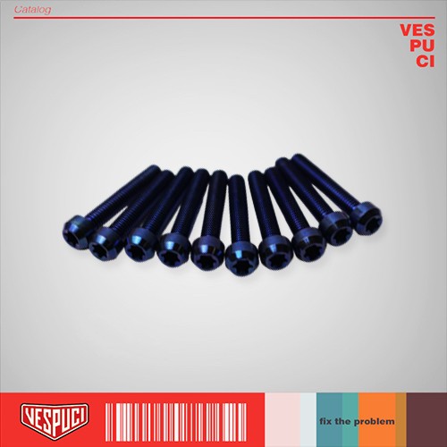 Bundling Package | Engine Mounting / Buffer Fabrica & Probolt CVT Bolts ...