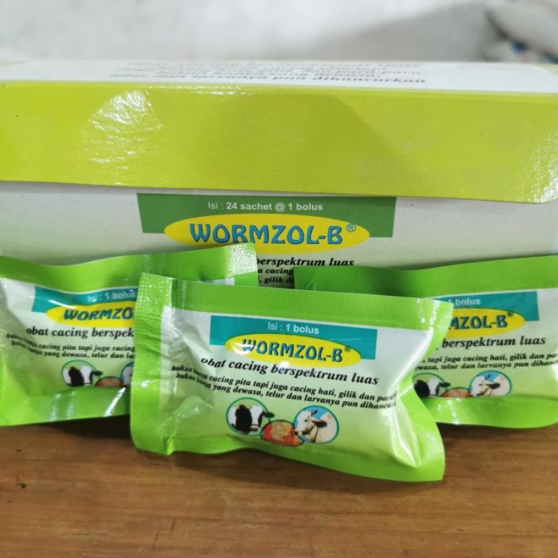 Wormzol B 1 BOLUS SACHET WORM MEDICINE FOR COW BUFFALO HORSE SKINNY ...