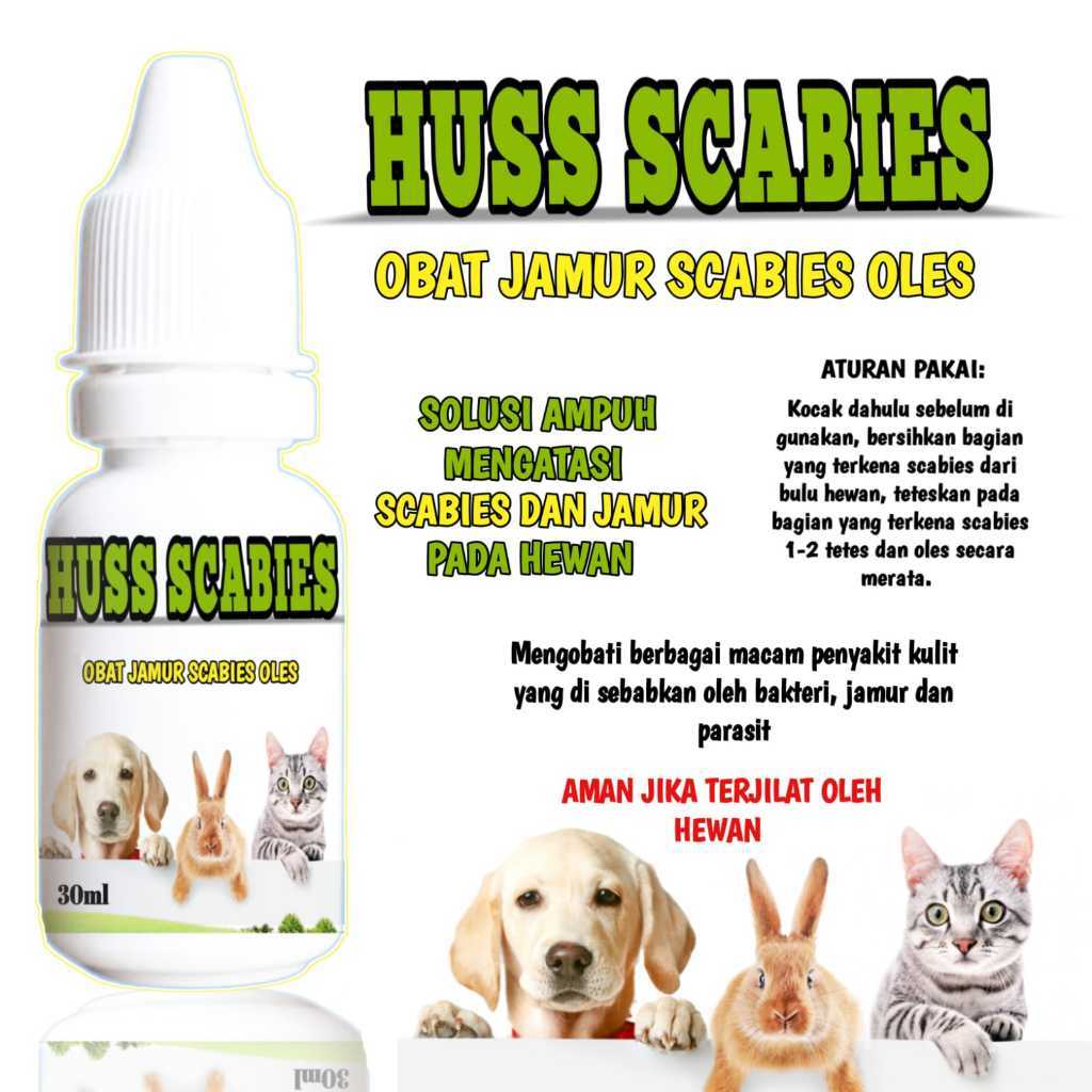 1 pack contains 12 bottles of Huss Rabbit Gudik Medicine | Rabbit ...