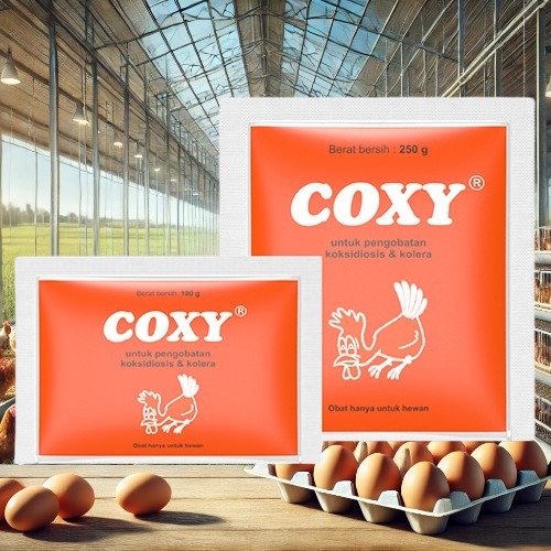 Coxy 250 gr Medion medicine for coccidiosis in chickens | Shopee Malaysia