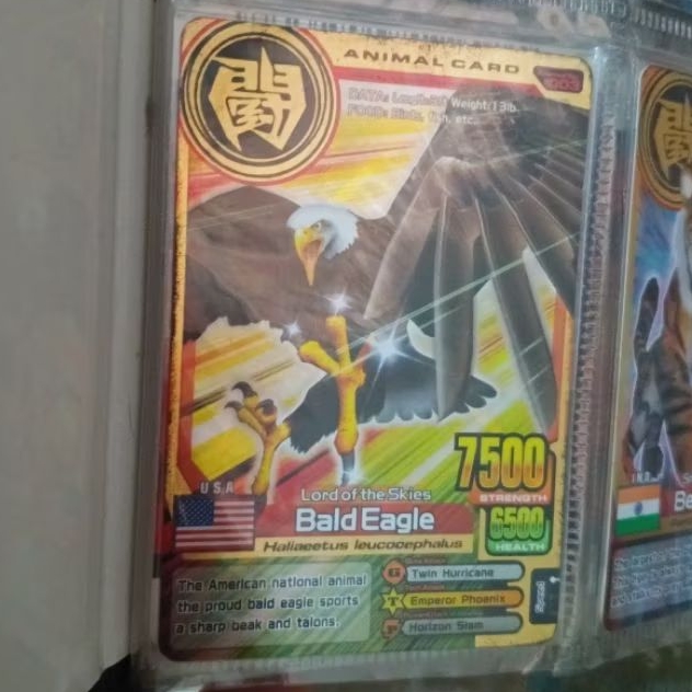 Original animal kaiser bald eagle ver 1 gold rare card | Shopee Malaysia