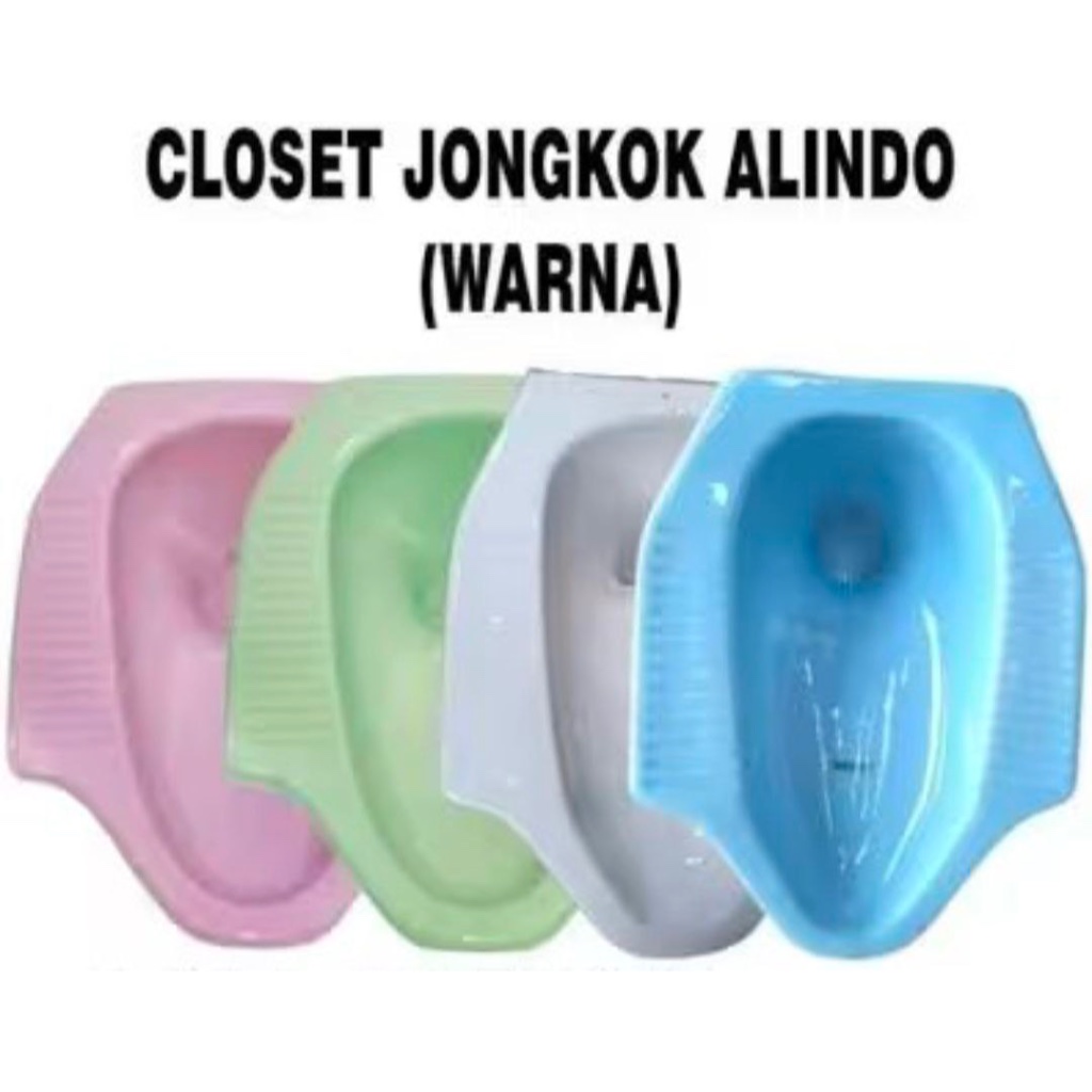 Alindo Squat Closet (Color) | Shopee Malaysia