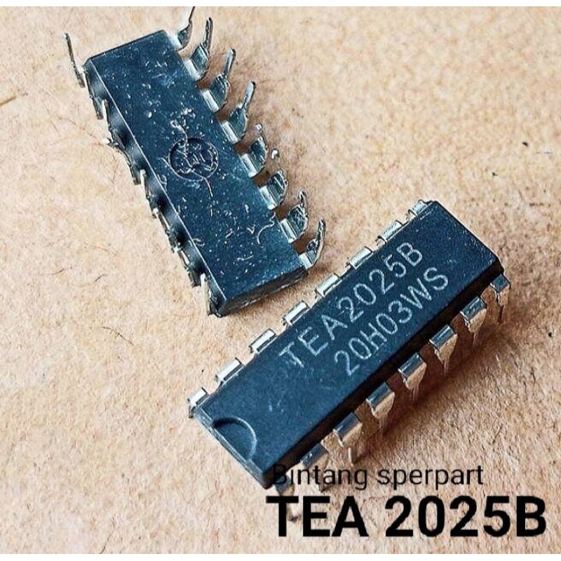 IC TEA 2025B TEA 2025 TEA 2025B AMPLIFIER STEREO AUDIO | Shopee Malaysia