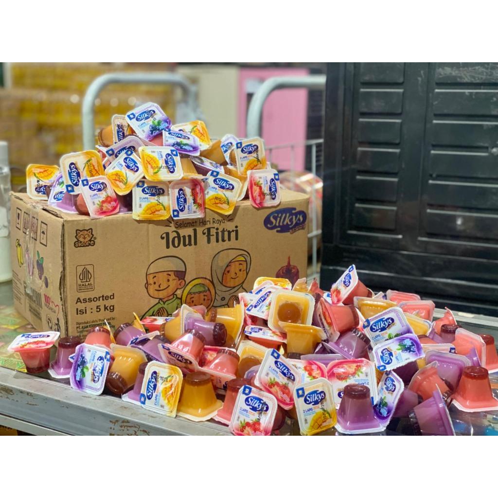 1 DUS SILKYS DUO Pudding 2 Layers contains 5 Kg MIX Variants | 1 Carton ...