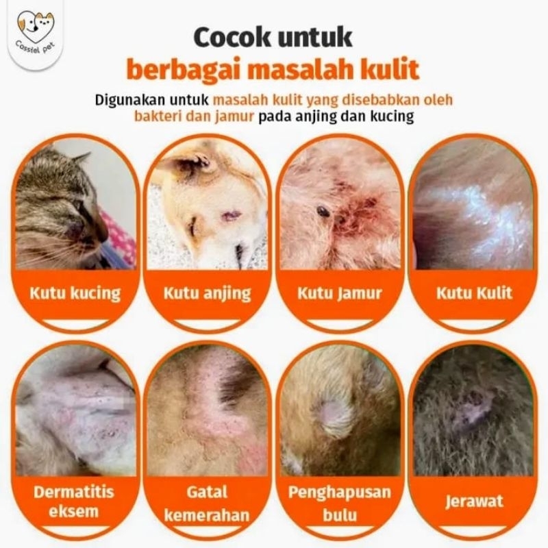 Cat and Dog Medicine Cassiel Pet Skin Treatment Spray Anti Scabies ...
